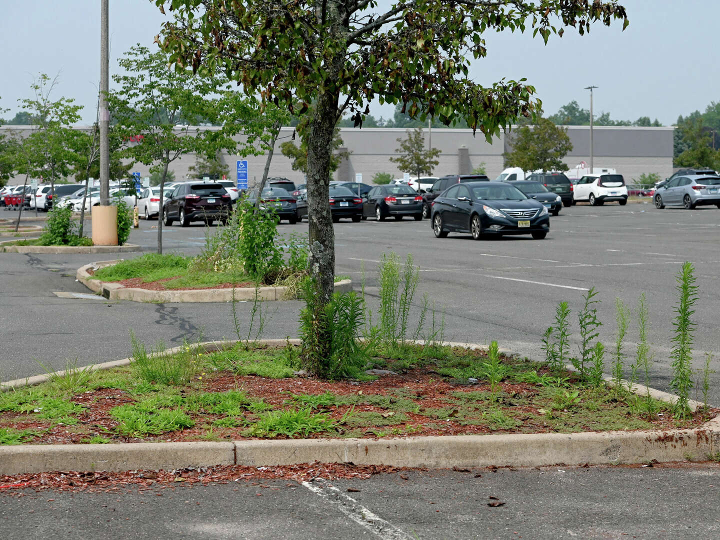 Enfield Square mall demolition to start later this year