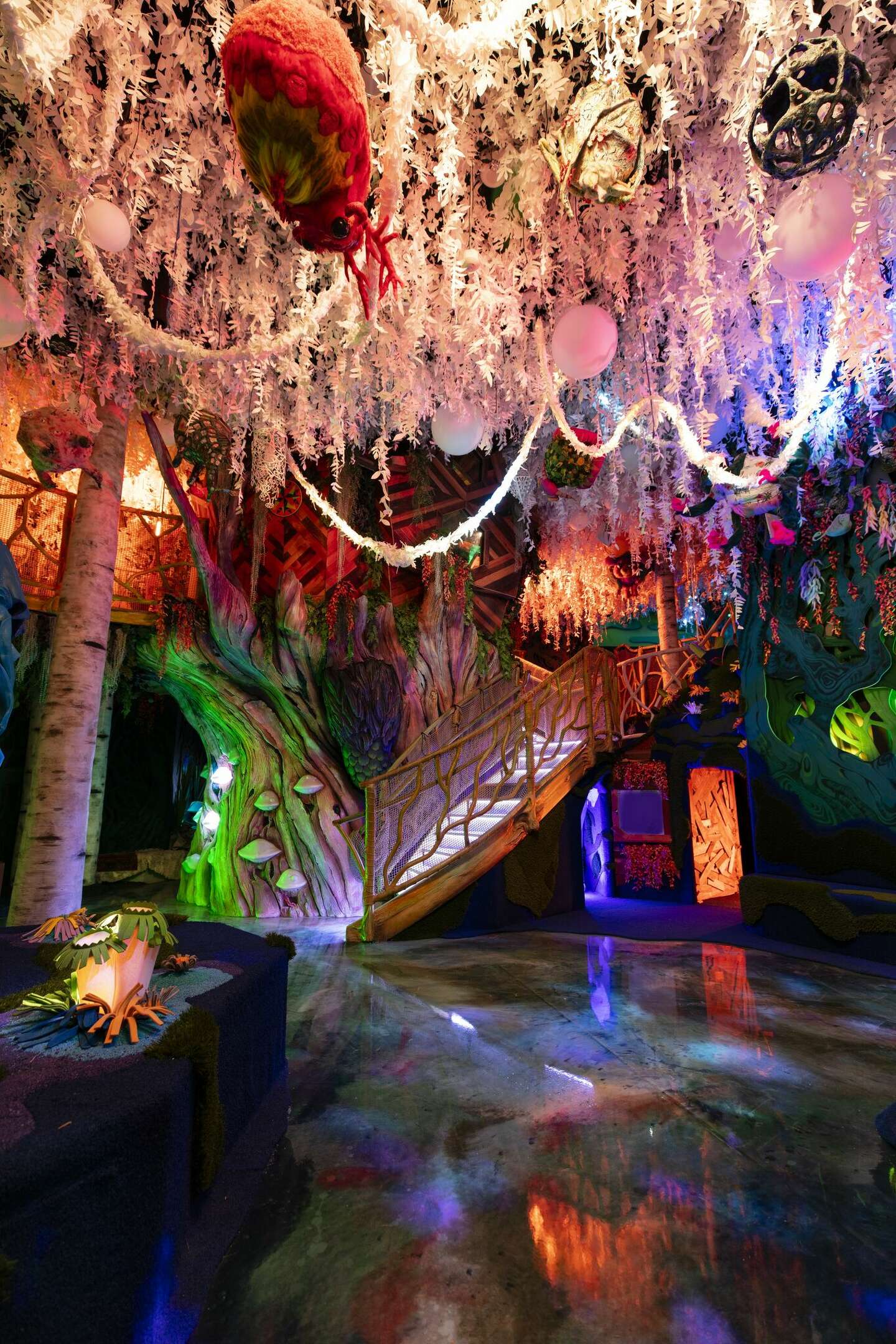 Meow Wolf's first Texas location now open near Dallas