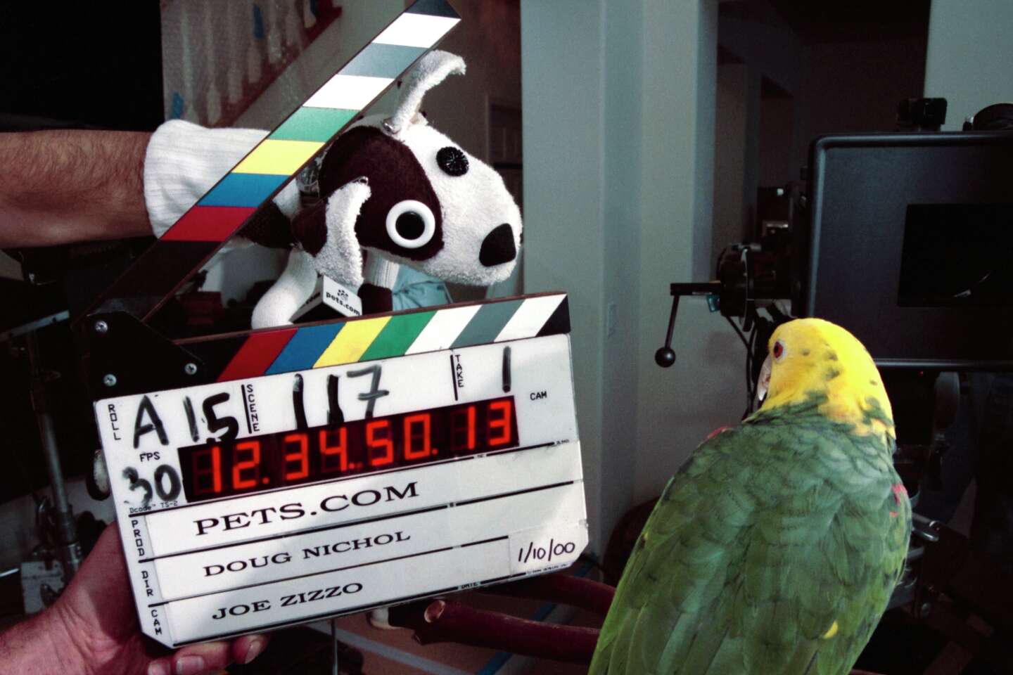 Pets.com was an SF sensation. It collapsed months after going public.