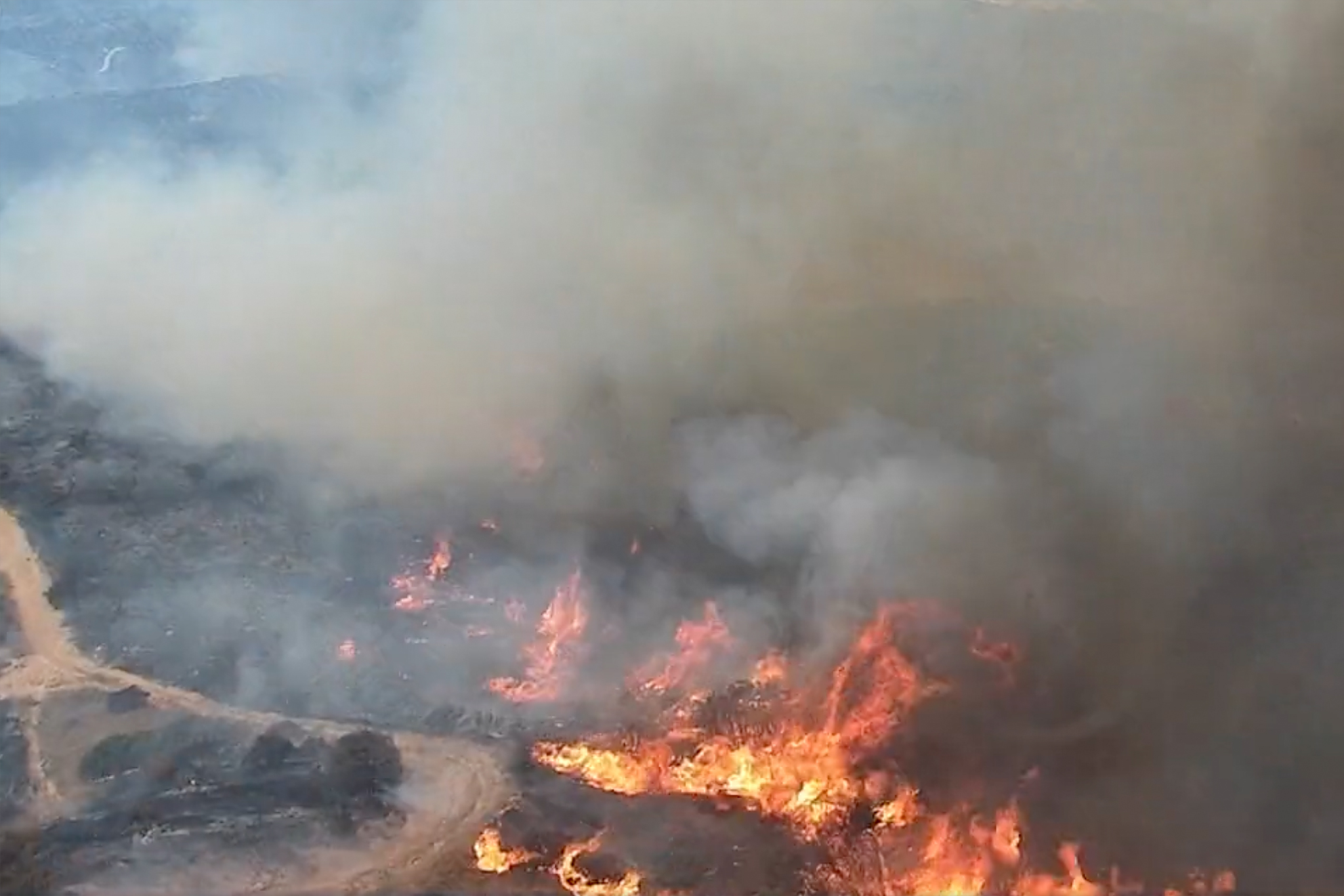 The largest wildfire in California right now is over 8,000 acres