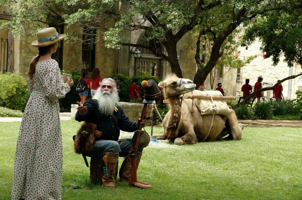 The Alamo will be crawling with camels on Saturday
