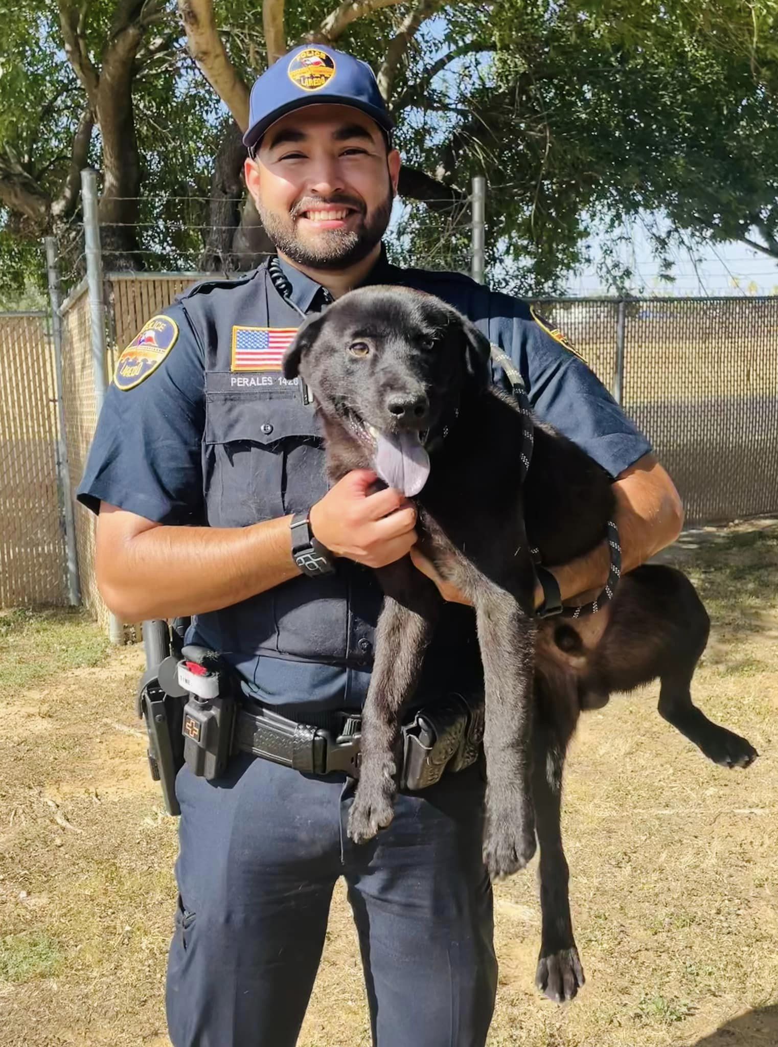Laredo police present Pets of the Week available for adoption