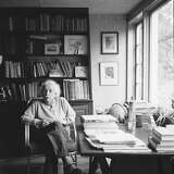 The real relationship between Oppenheimer and Albert Einstein