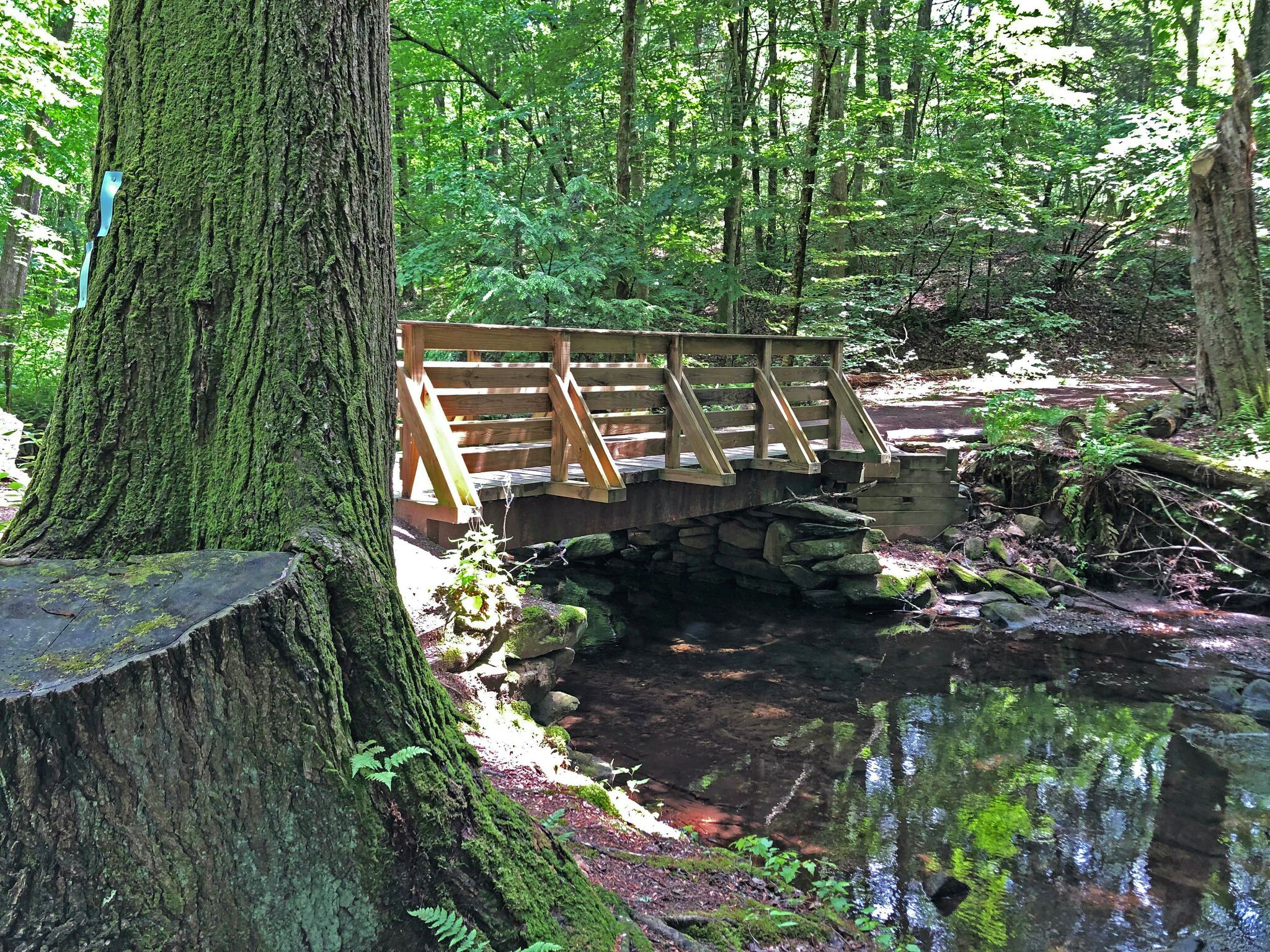 CT Bond Commission expected to fund dam repairs, school improvements