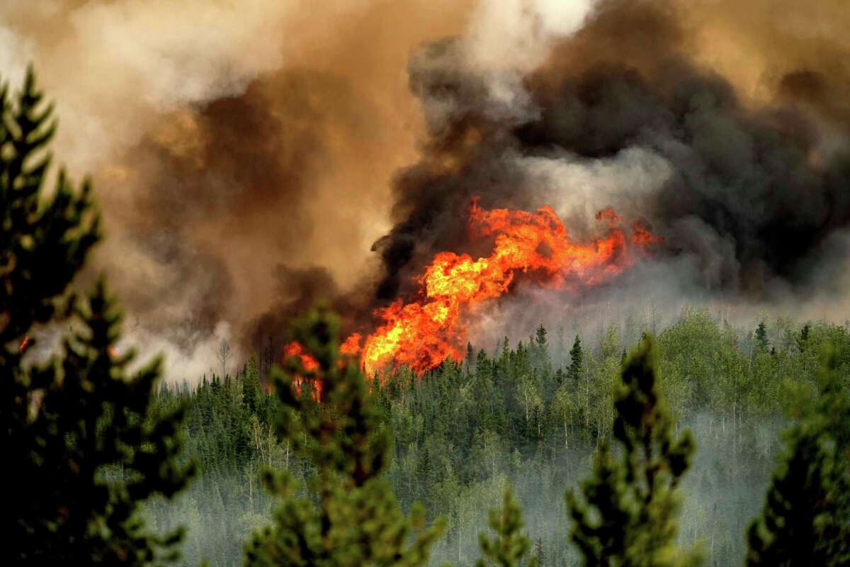 65 Houston deaths due to wildfire smoke occur every year, per study