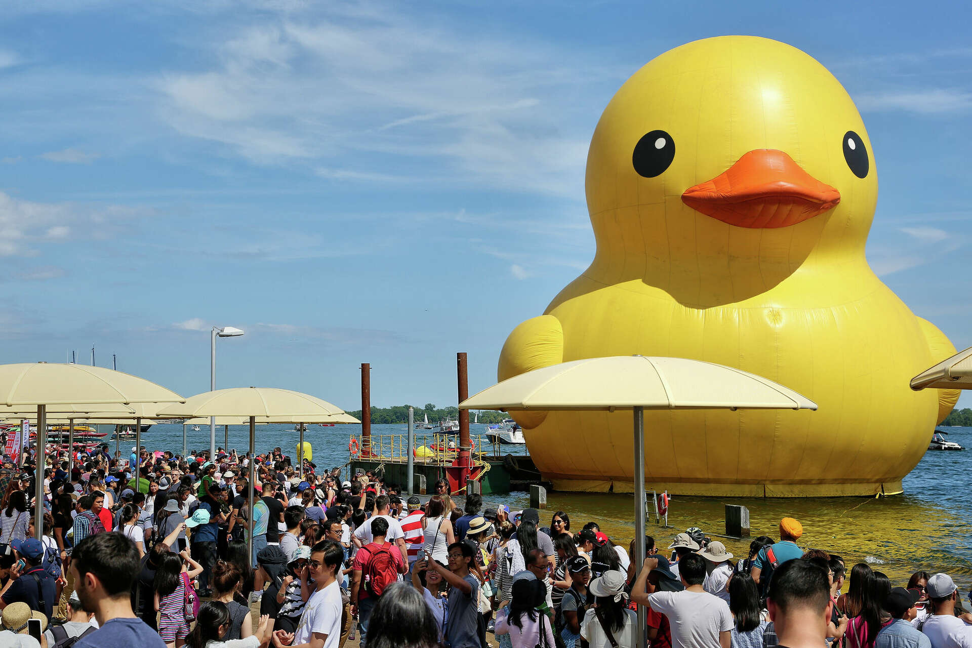 World's Largest Rubber Duck to St. Louis? Facebook post encourages it