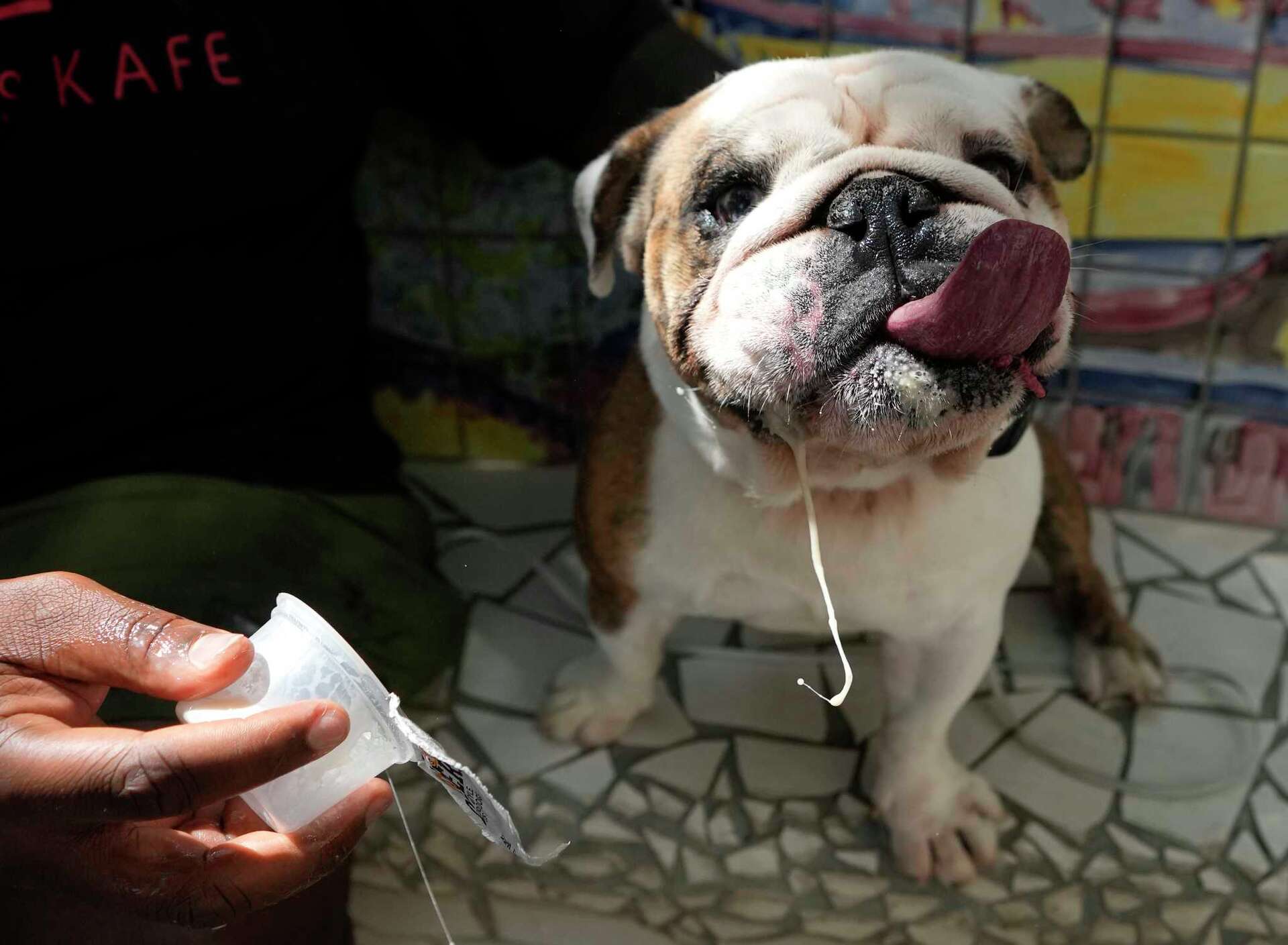 Trae Day 2023: Ninja Turtles, dodgeball and snow in Houston