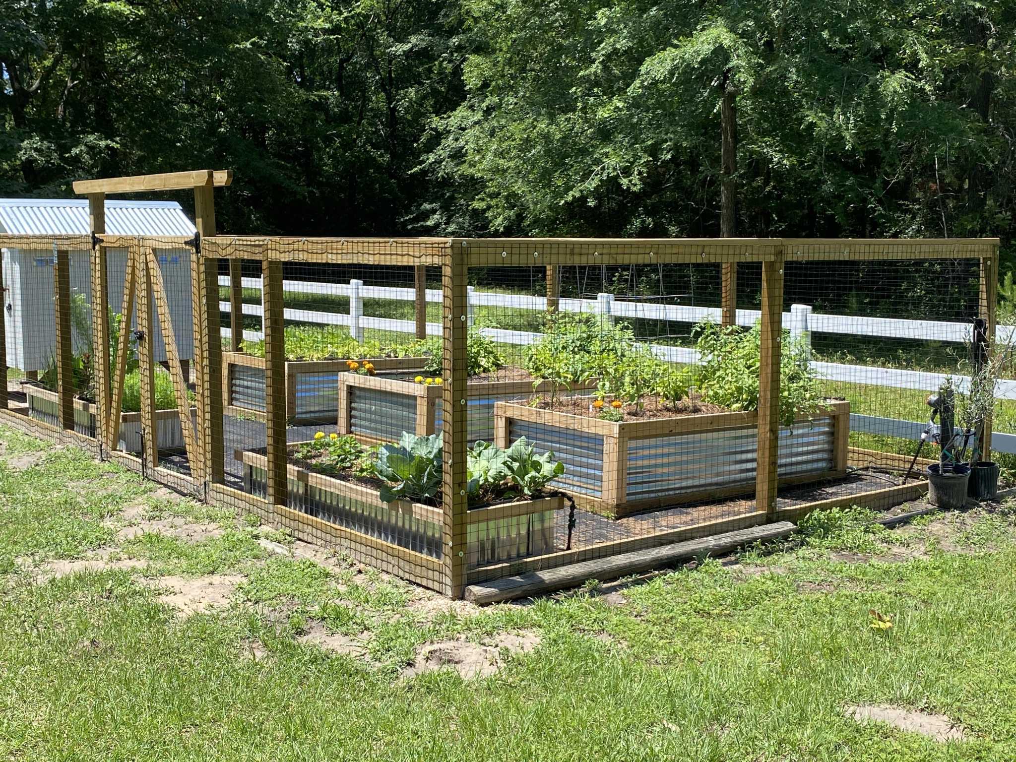 Master Gardener: Raised beds a productive way to garden that are gentle ...