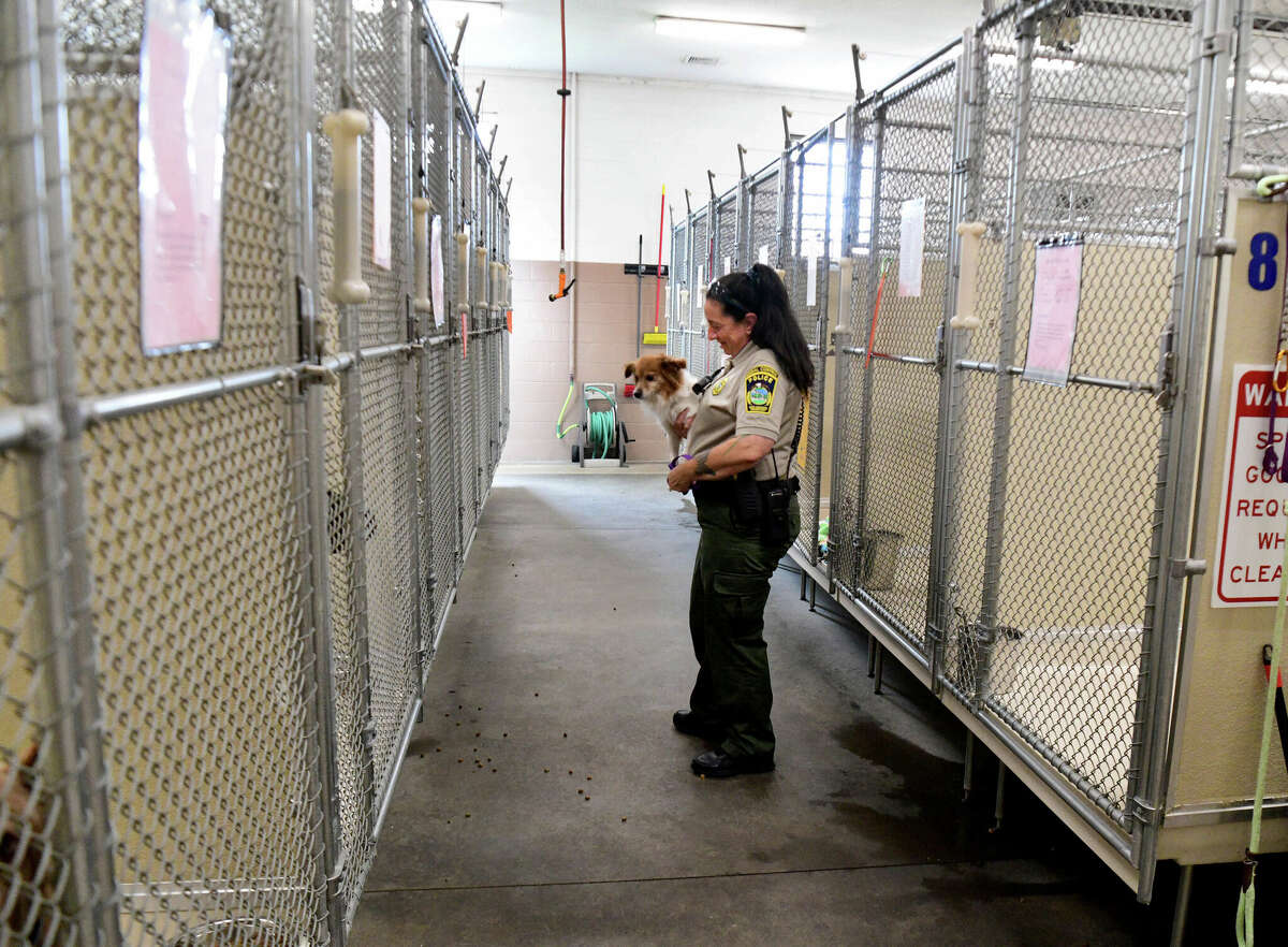 Animal Shelter Buildings Inside