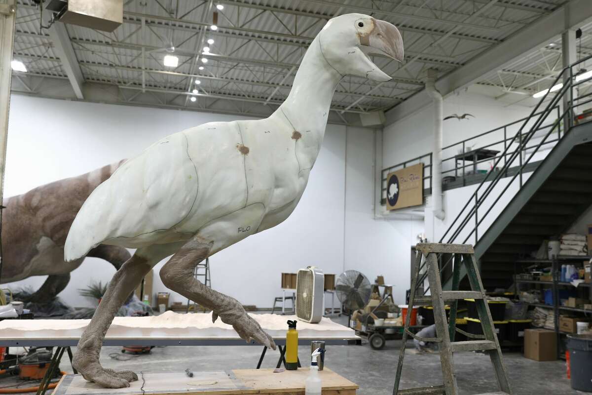 Extinct big bird to greet visitors when Yale Peabody Museum reopens