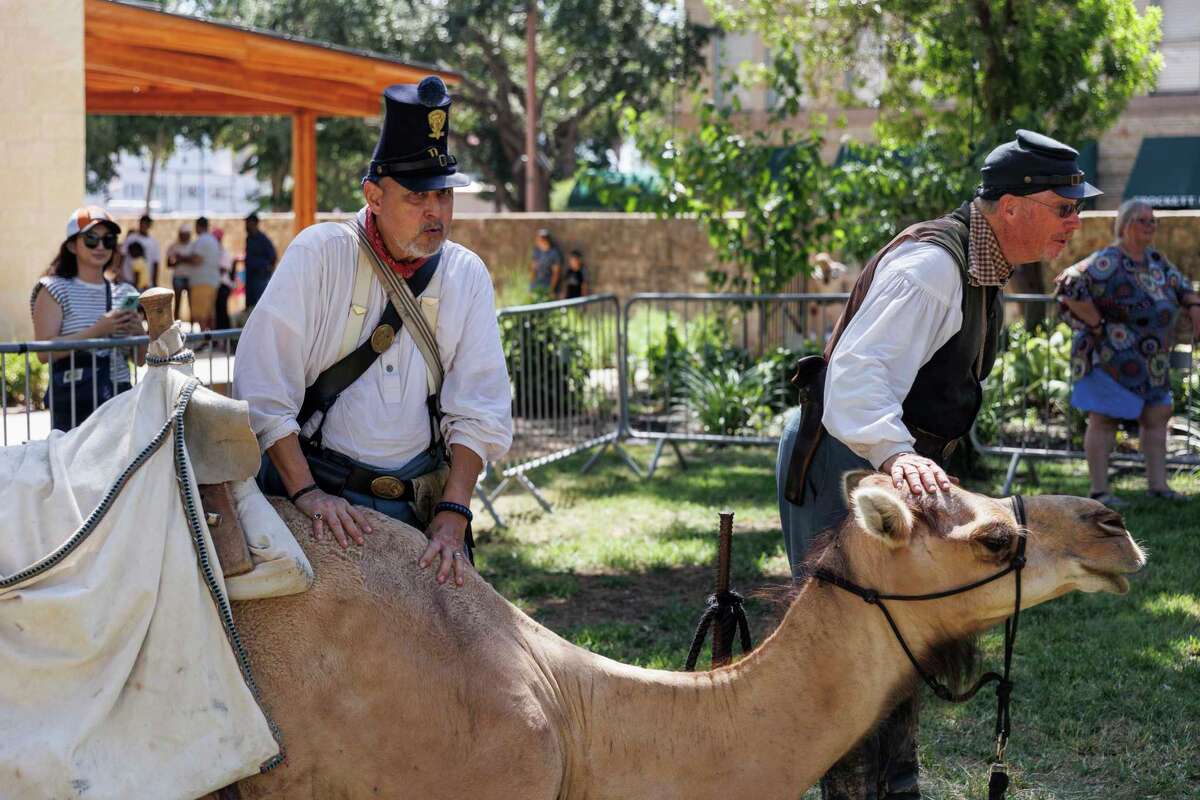 Camels at the Alamo: Check out their ties to Texas history