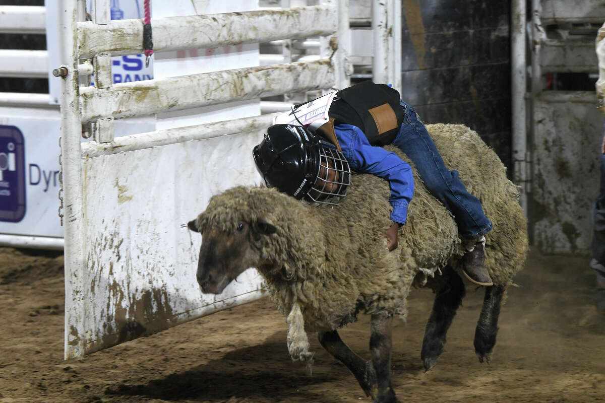 Professional bull riding offers rodeo thrills in Beaumont