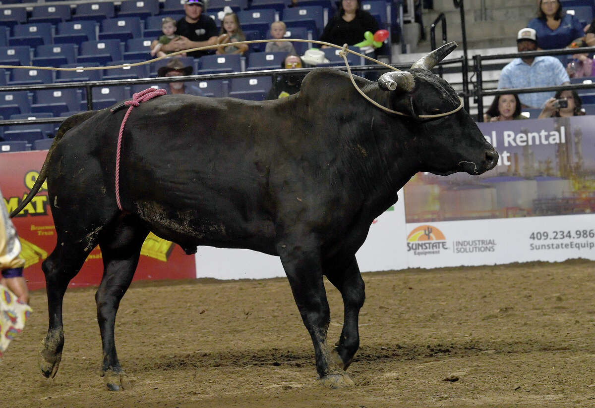 Professional bull riding offers rodeo thrills in Beaumont