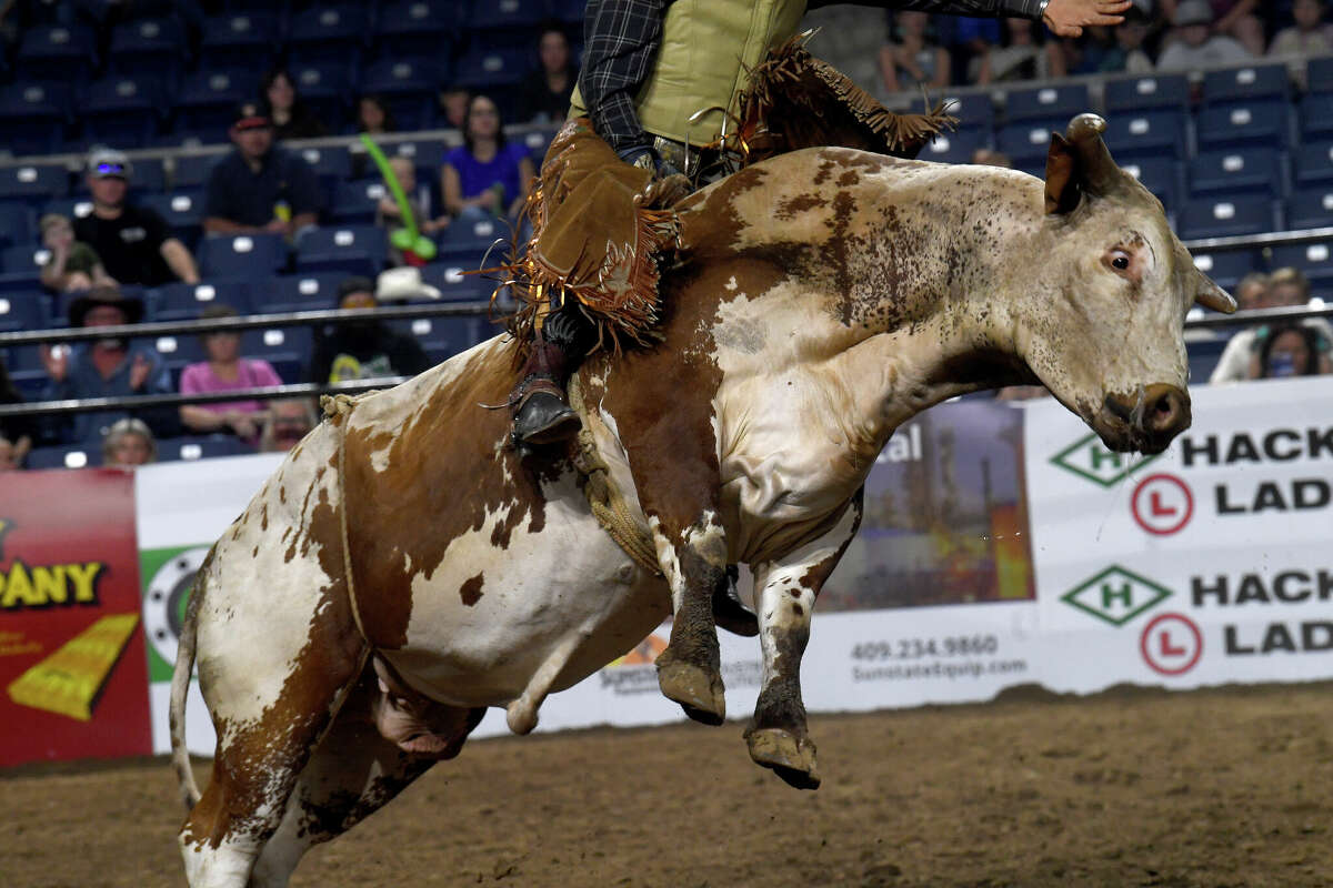 Professional bull riding offers rodeo thrills in Beaumont