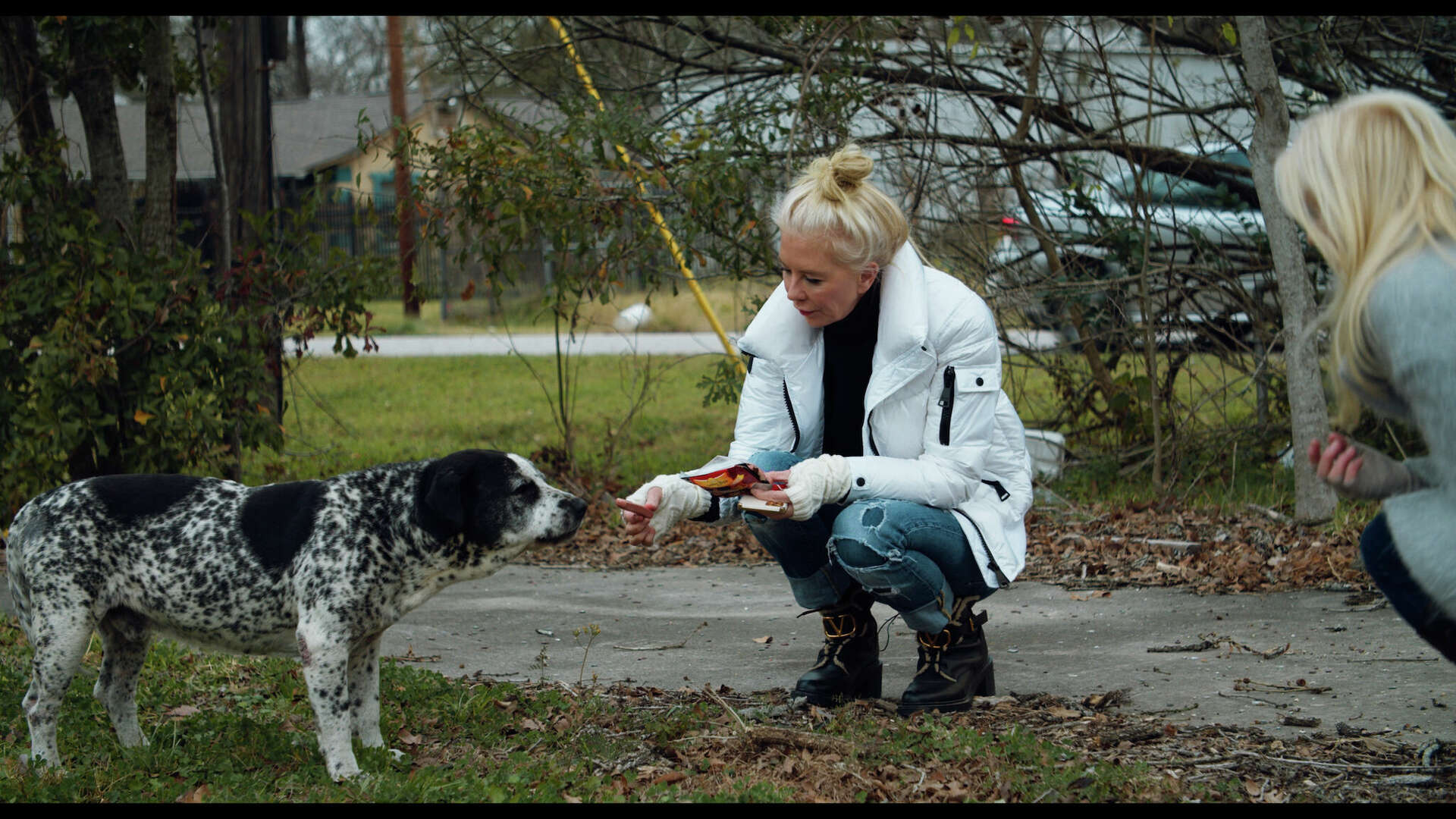 'For the Animals' shows reality of Houston's stray animal problem