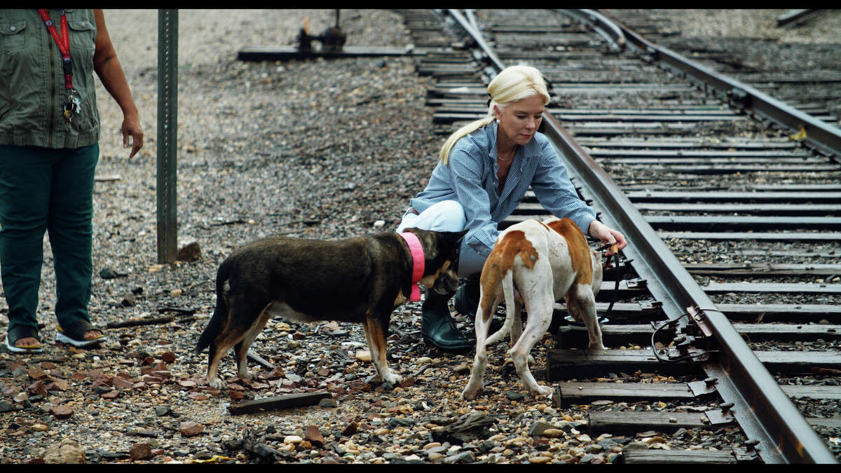 'For the Animals' shows reality of Houston's stray animal problem