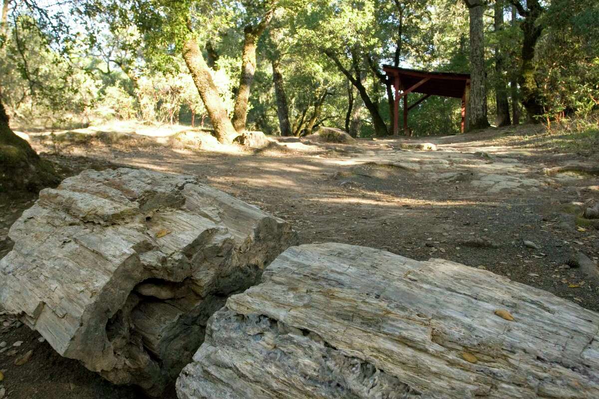 Petrified Forest in California’s Sonoma County for sale for $12M