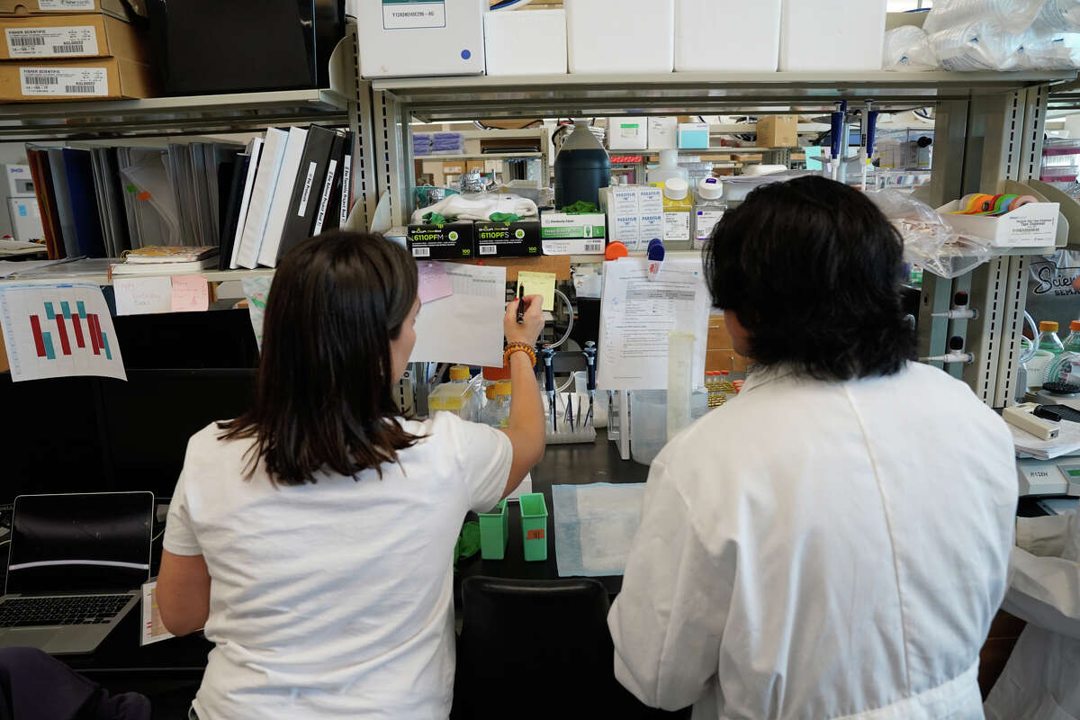 UTSA's stem cell research is cutting edge — and out of the spotlight