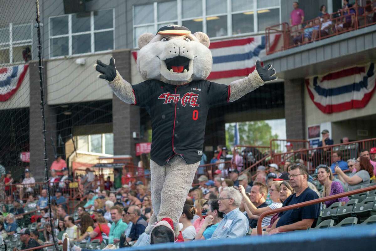 Meet ValleyCats' SouthPaw, the 'luckiest man in the world'