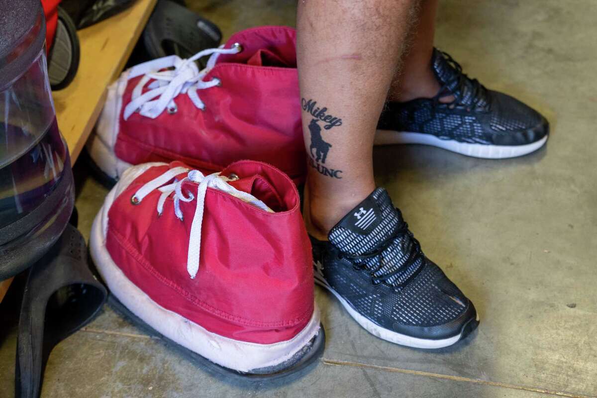 Meet ValleyCats' SouthPaw, the 'luckiest man in the world'