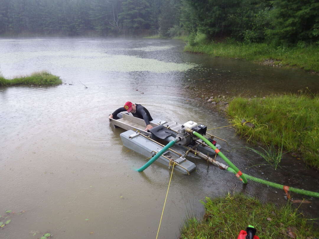 Panning for gold in Michigan may be more common than you think