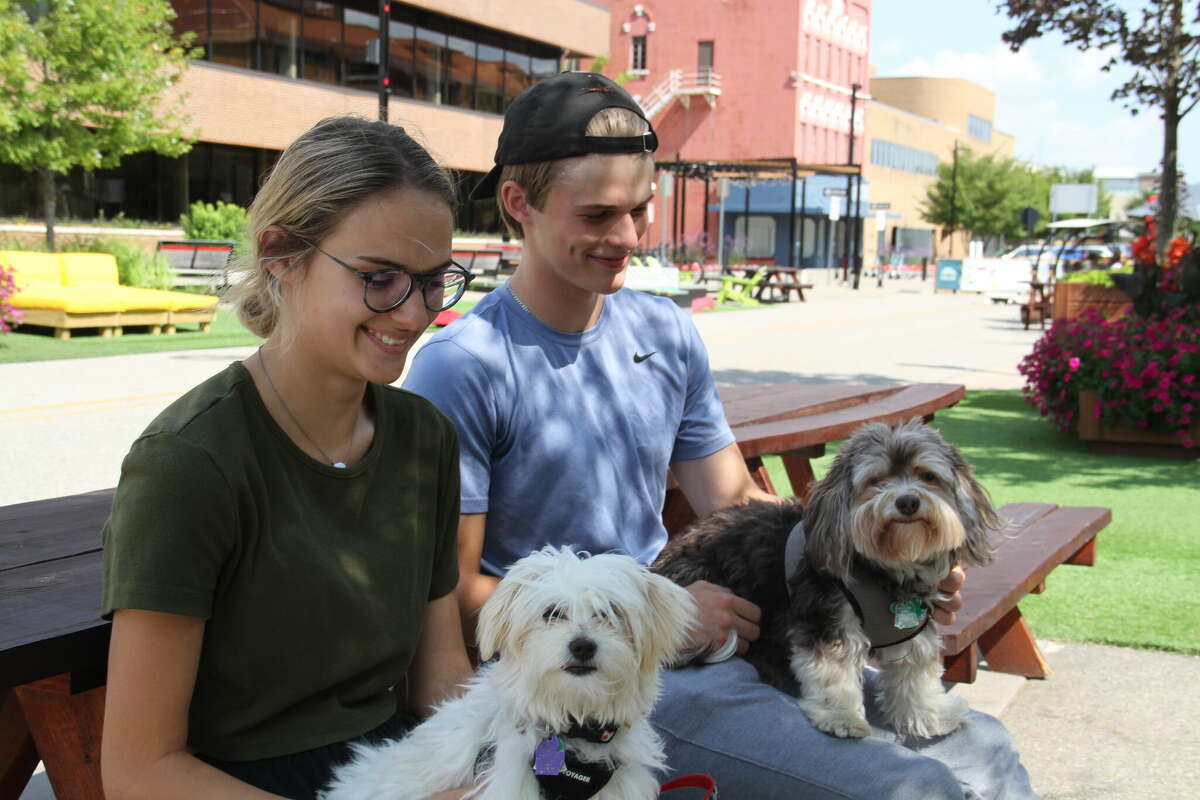 Best friends furever: Most popular dog names, breeds in Midland County