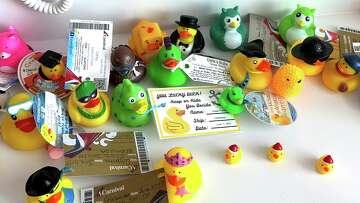 Cruise ducks: Why travelers are hiding rubber ducks on ships