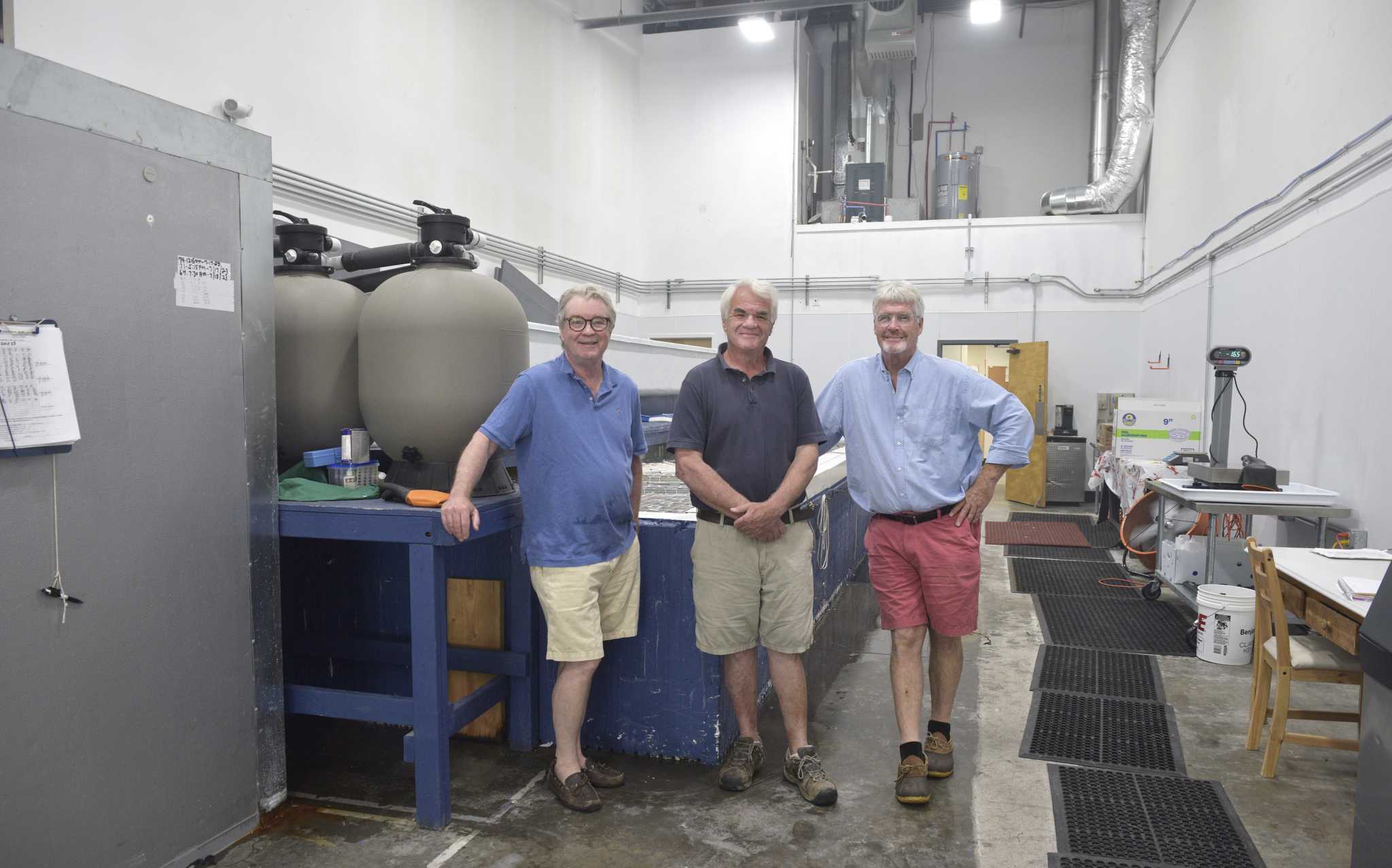 Community Shellfish brings fresh seafood from Maine to CT