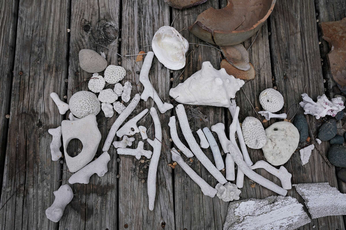 There's no end to San Antonio artist Danville Chadbourne's creativity