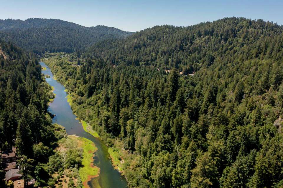 2,000-year-old redwood on the Russian River may finally be conserved