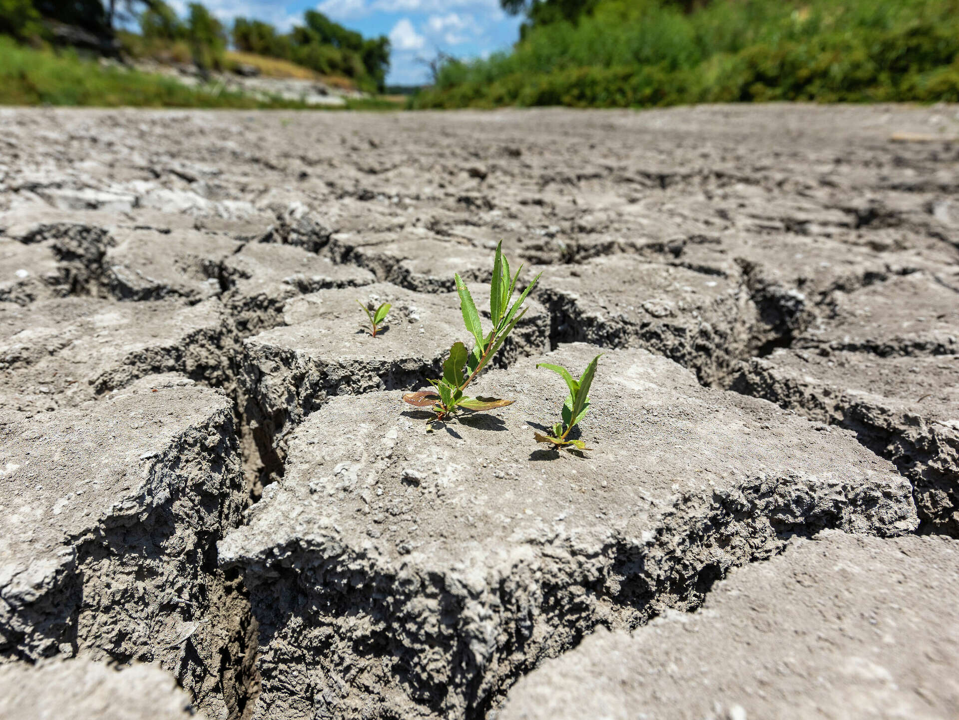 Here’s why water level at Canyon Lake is near an all-time low