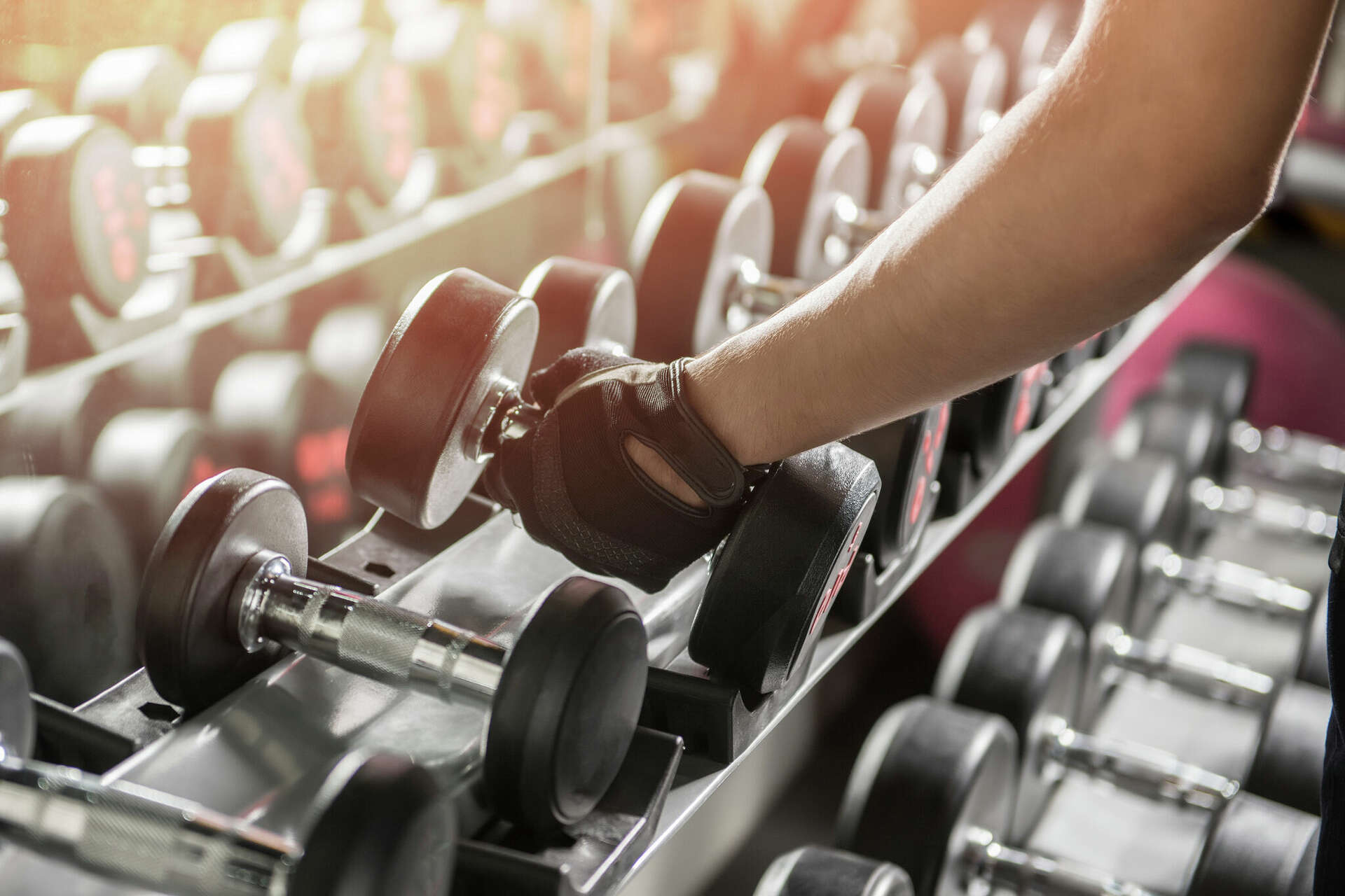 How Much Should I Be Able to Curl According to My Body Weight?