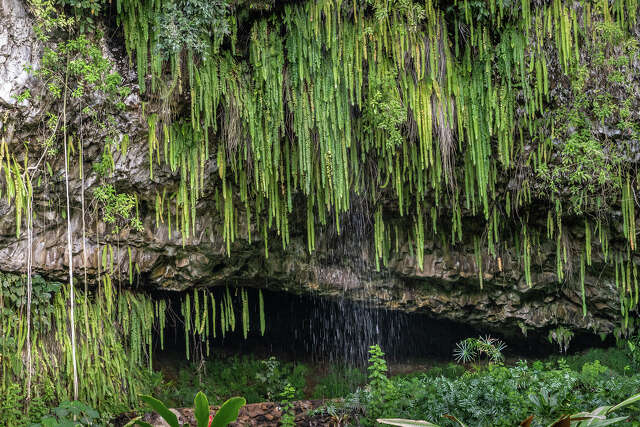 The story behind Fern Grotto, a magical oasis on the Wailua River