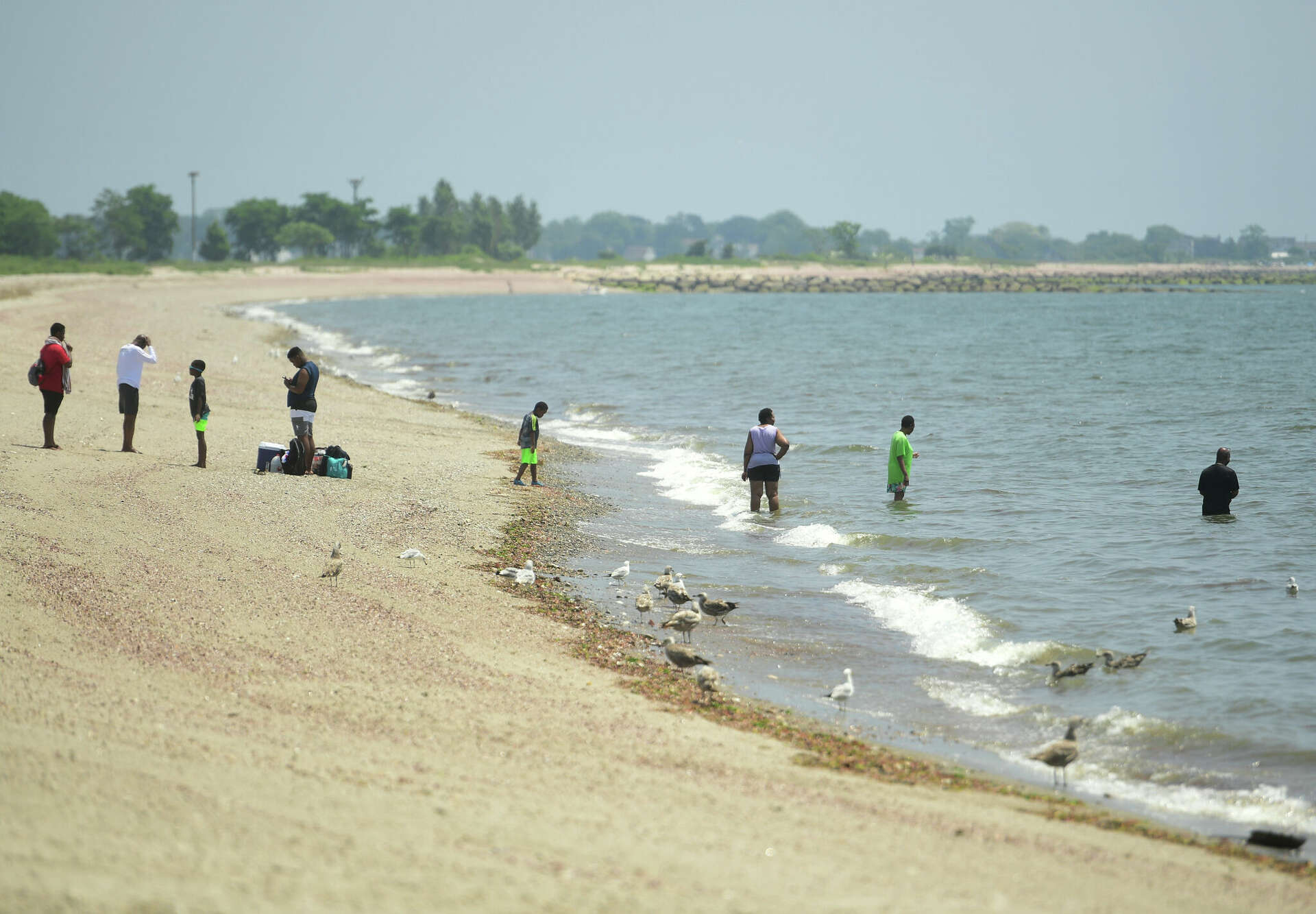 Will nature win the battle for Bridgeport's Pleasure Beach?