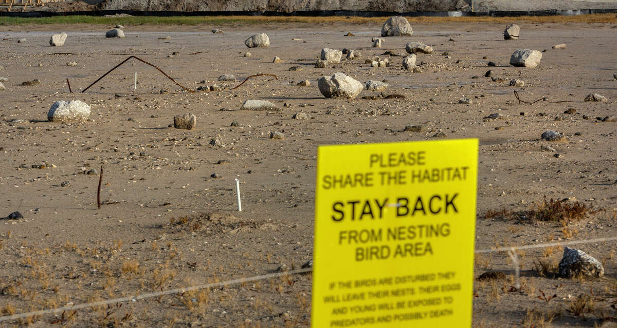 Musk: SpaceX’s rocket could fly next year, reach Mars in 4 years