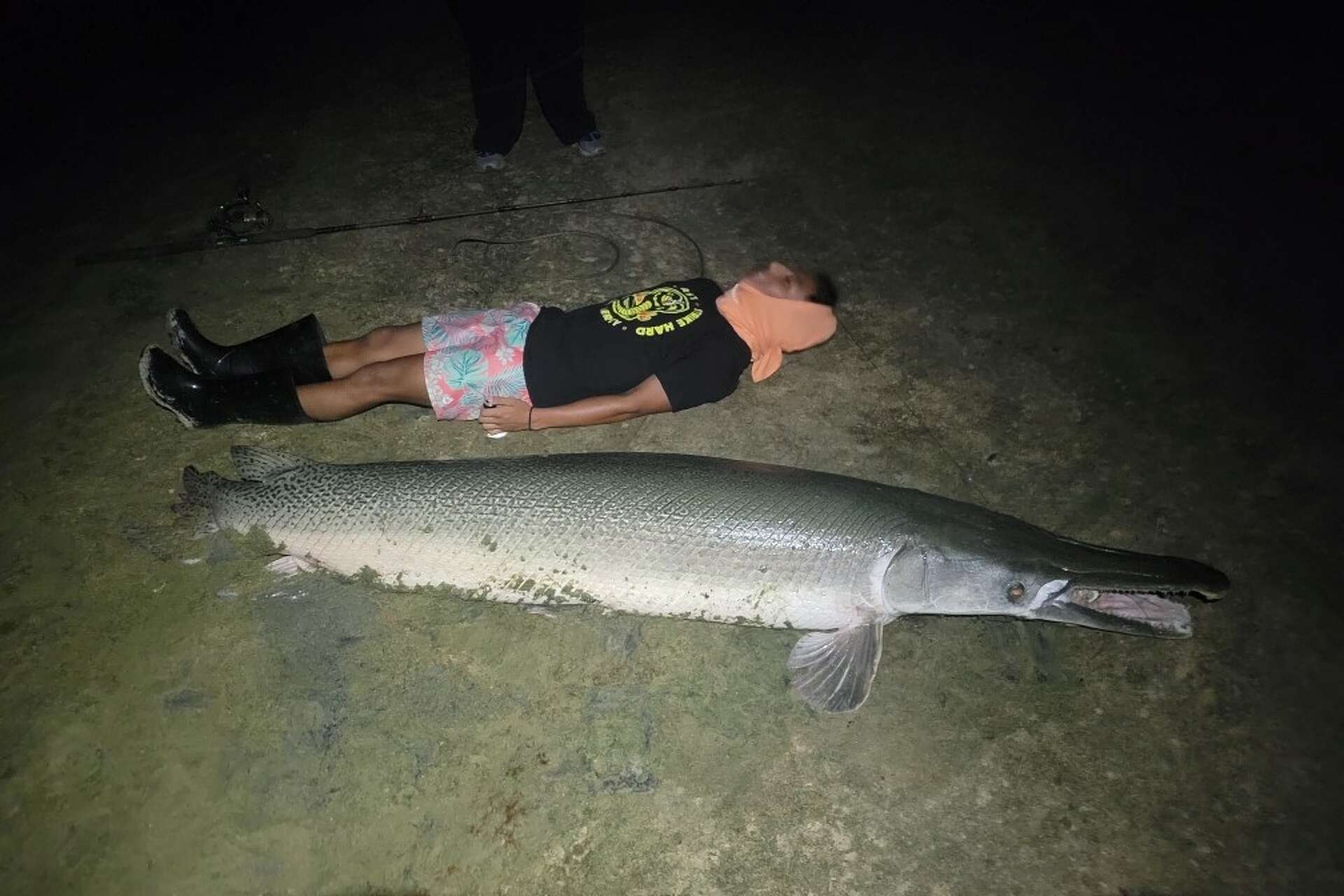 Houston angler catches monster alligator gar—and releases it