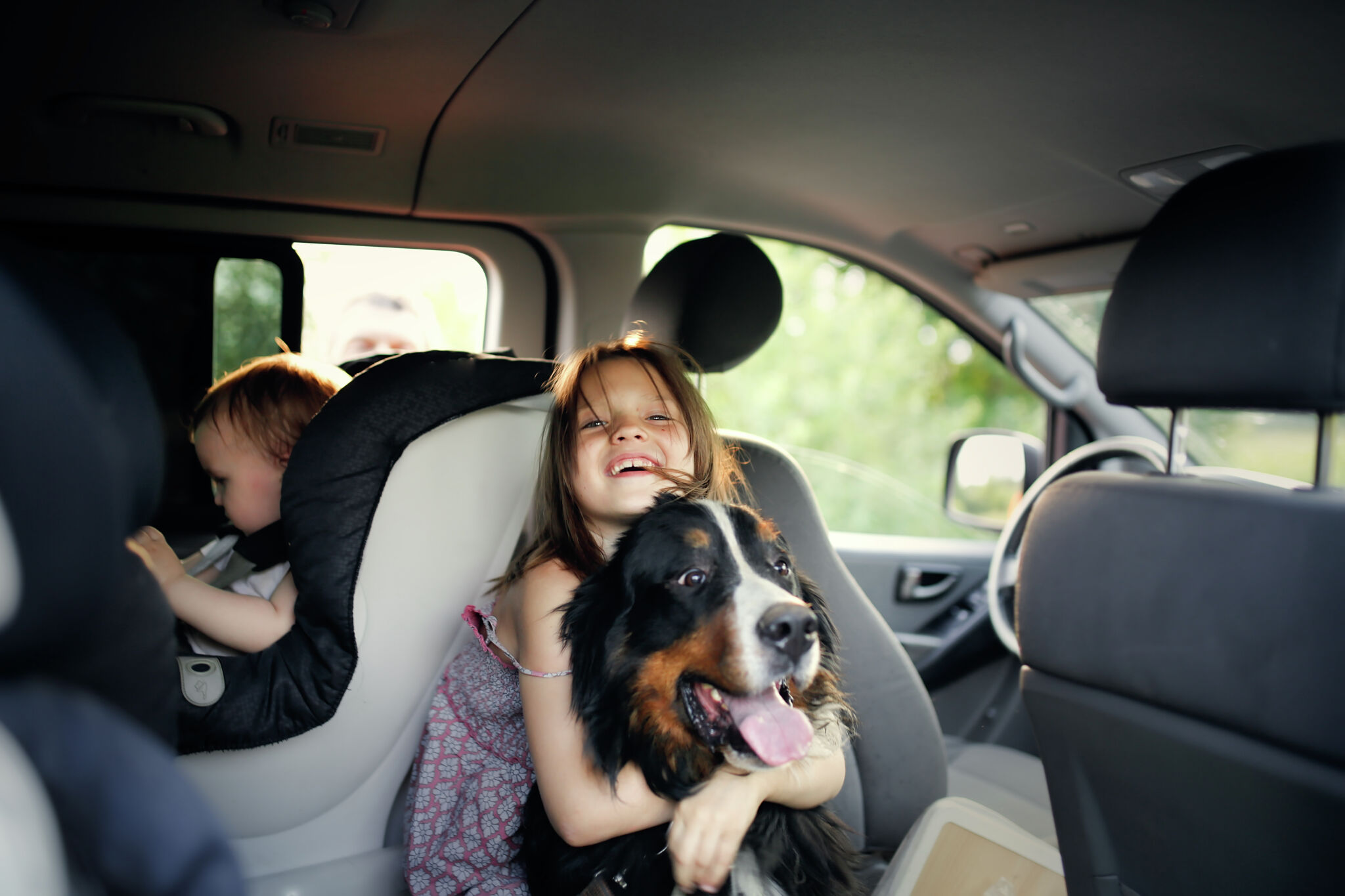 State Vet Warns Against Pets In Cars As July Is Set To Be Warmest Ever State Vet Warns Against Pets In Cars As July Is Set To Be Warmest Ever