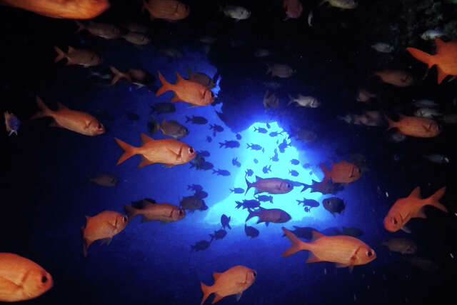 The rare underwater phenomenon found in Hawaii’s waters