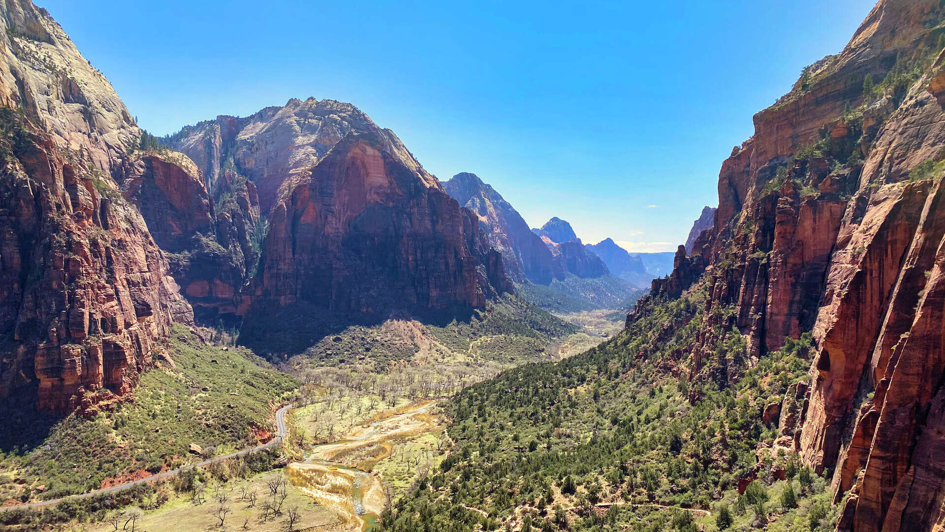 It was hot enough at Zion National Park to bake cookies in a car