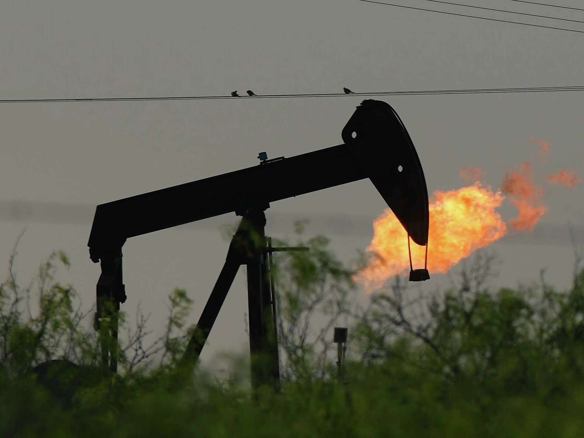 Carbon storage hub grows with Milestone's 22,000-acre lease