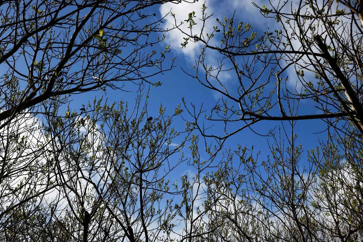 A man’s dying wish was to build a home on the San Mateo coast