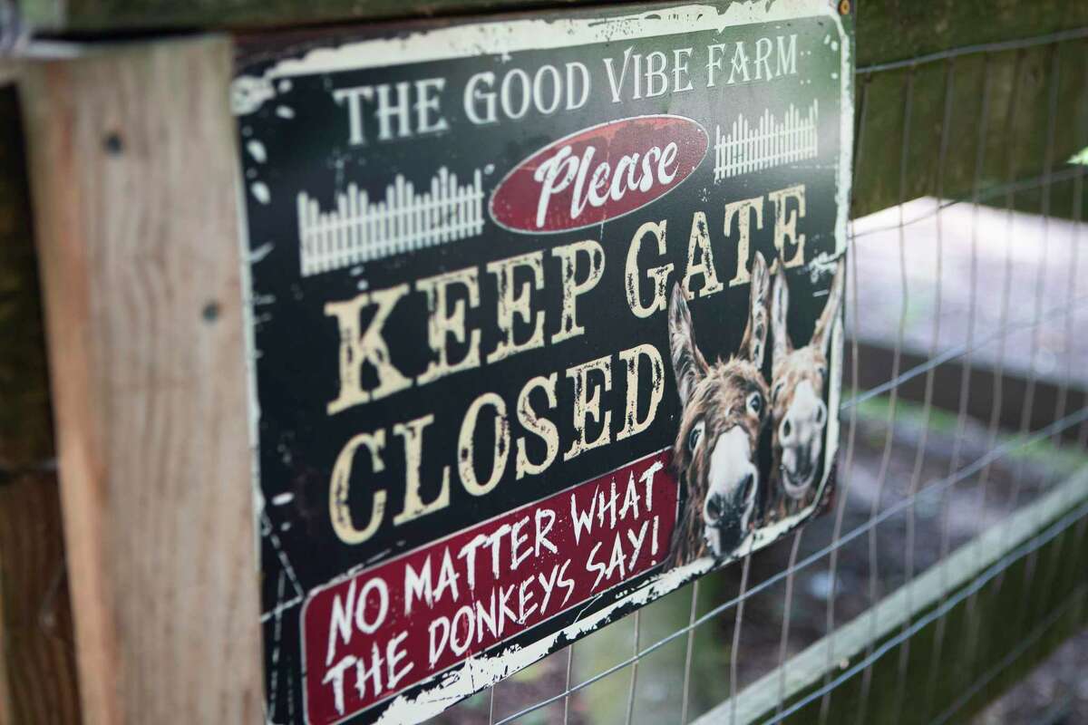 Tomball's Good Vibe Farm lets people interact with farm animal rescues
