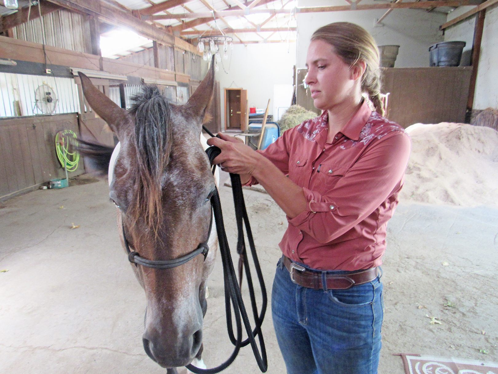 Life lessons from horses: Messer loves training, teaching