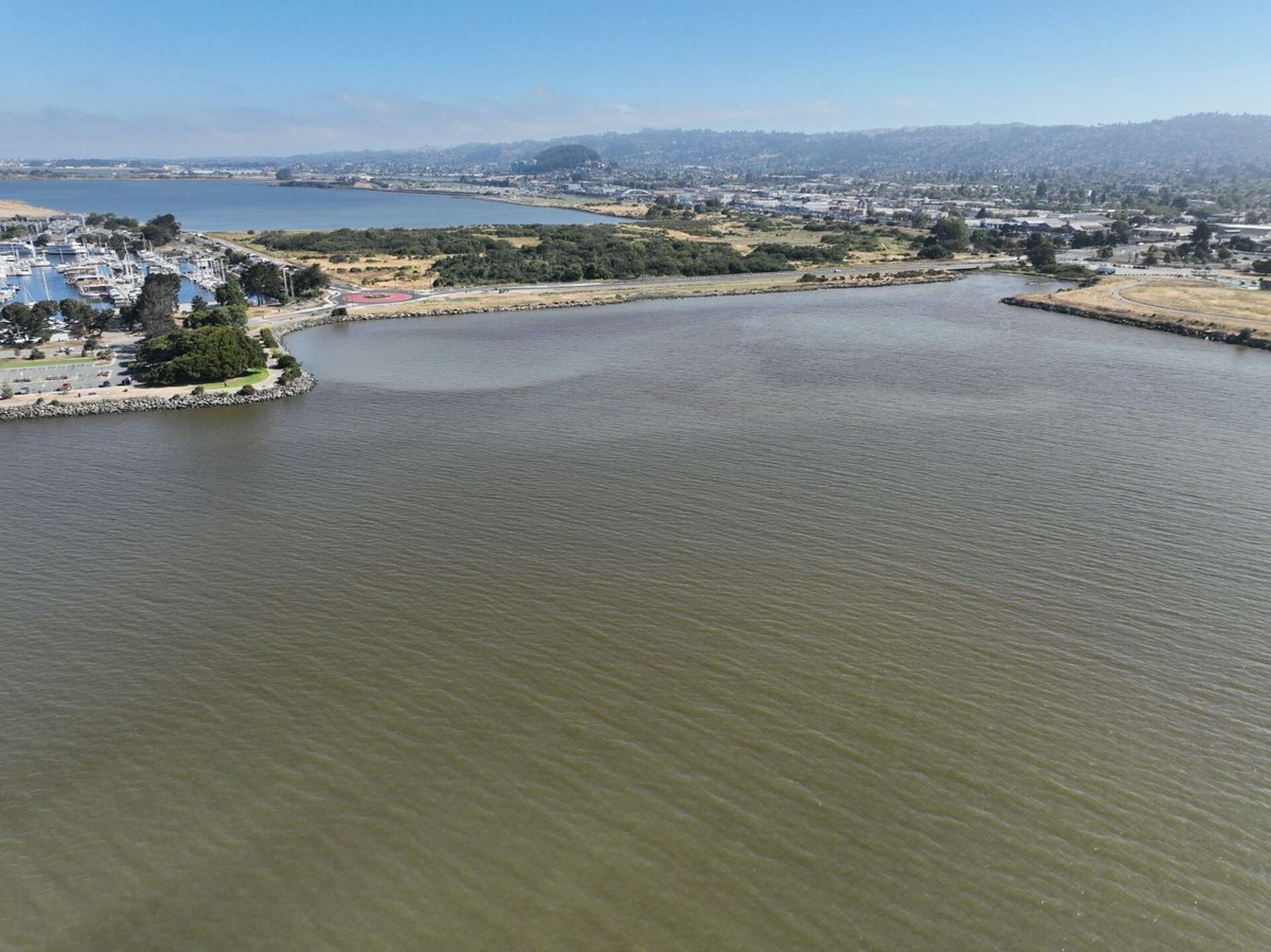 Toxic algae bloom returns to the Bay Area. Here's what's going on