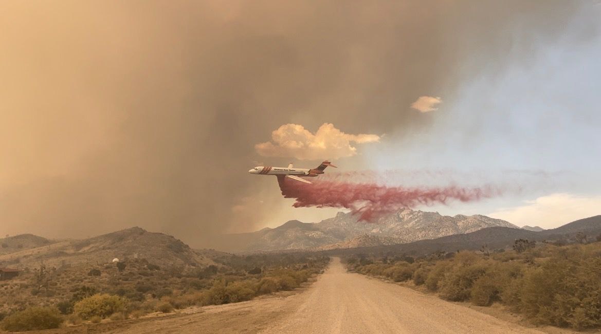 California wildfires: York Fire burns thousands of Joshua trees