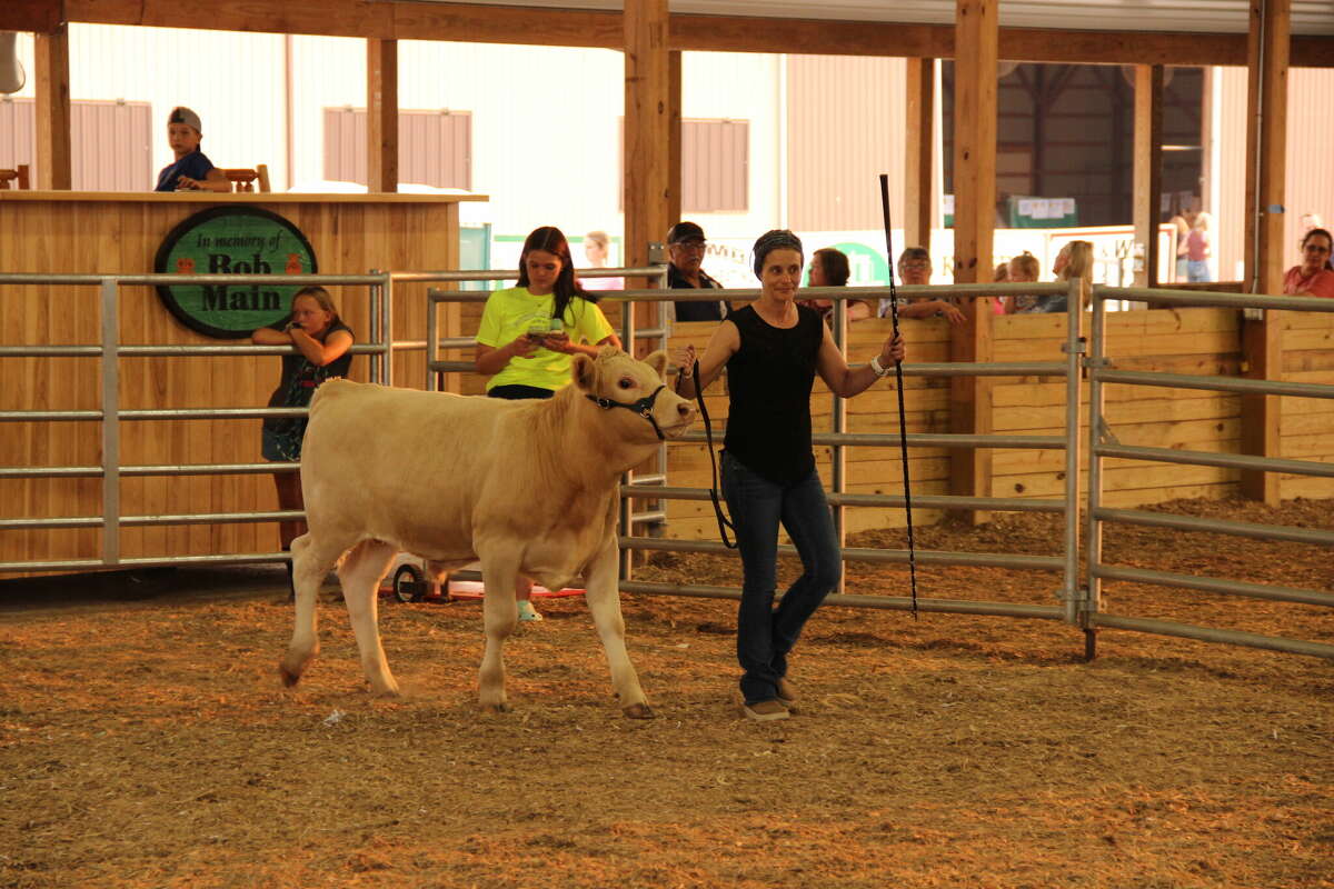 Huron Community Fair carnival opens