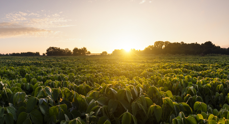 Rep. Mike Bost visits Rainbow Acres Farm