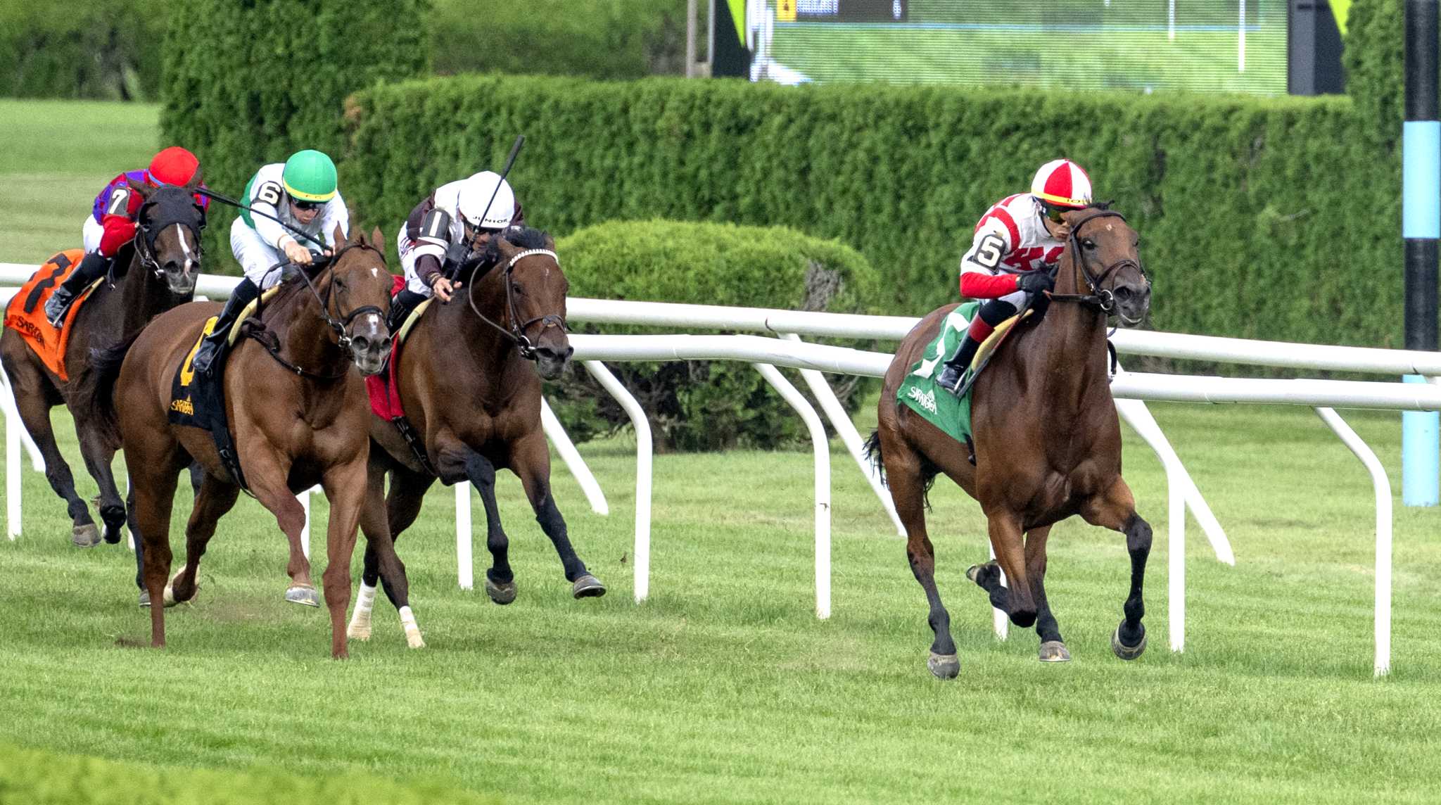 Technical Analysis leads all the way in De La Rose at Saratoga