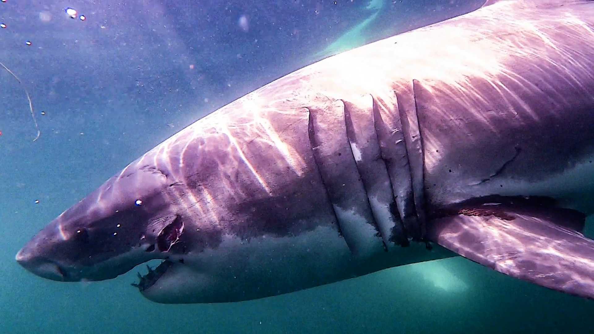 Explore the ways humans, nature work together to conserve the environment