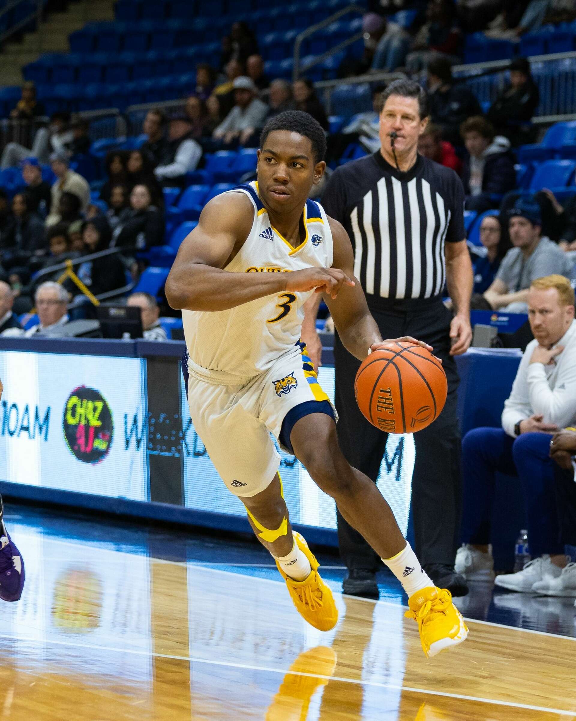 Quinnipiac men's coach Tom Pecora happy to be back at the helm